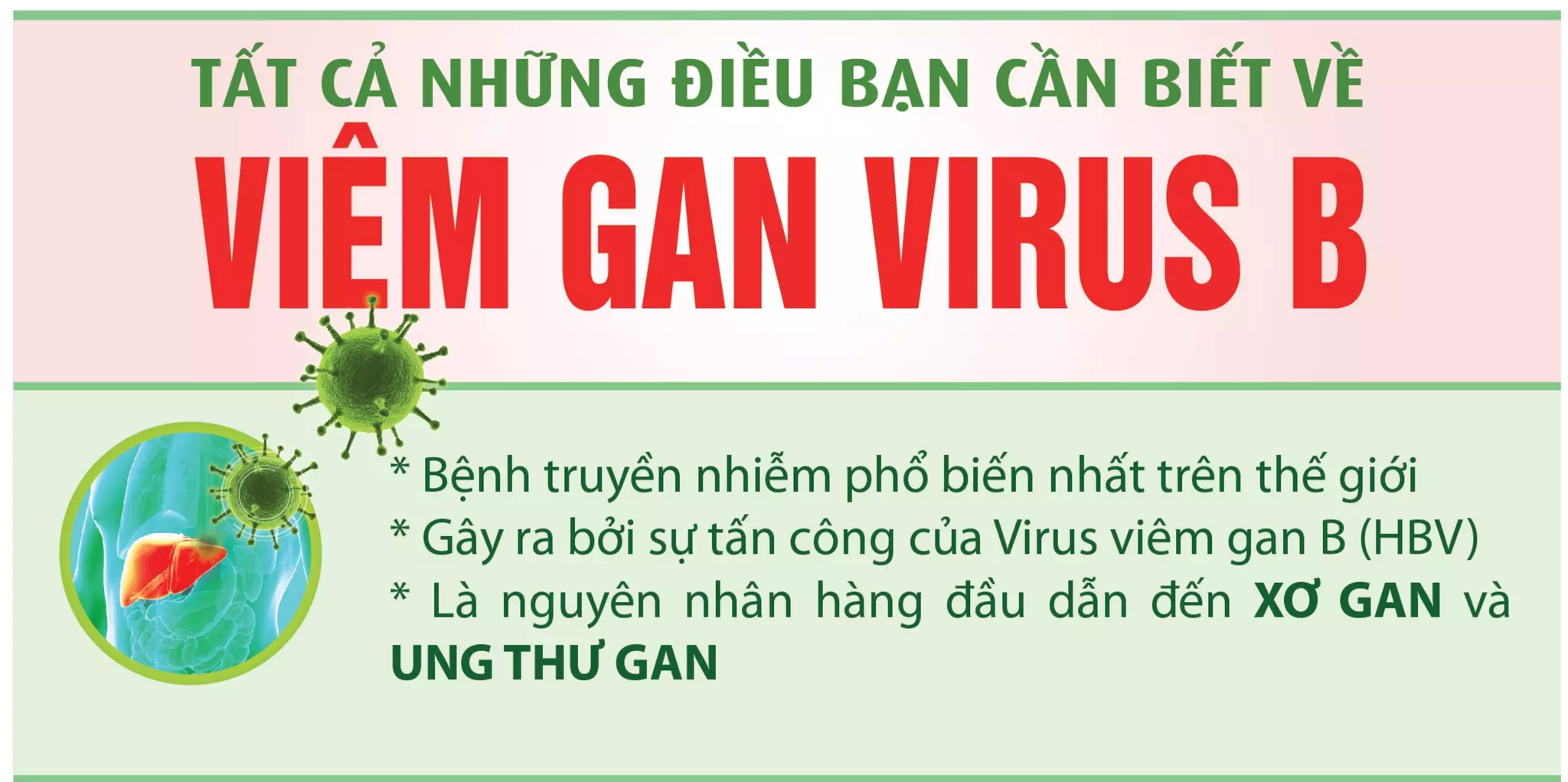 Viêm gan virus B | PDF