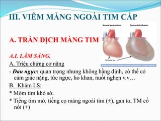 VIÊM MÀDDDDDDDDDDDDDDDDDNG NGOÀI TIM.ppt