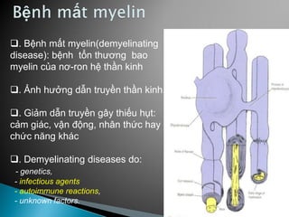 Viêm tủy thị thần kinh(nmo) | PDF