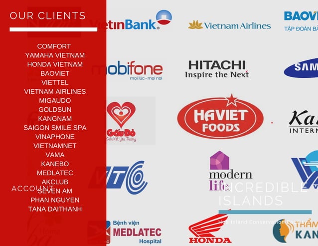 Vinalink proposal - Digital Marketing Strategy Planning | PDF ...