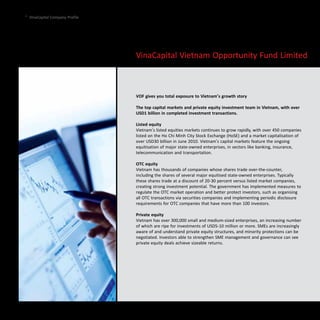 Thiet ke profile - Vina 2009 | PDF