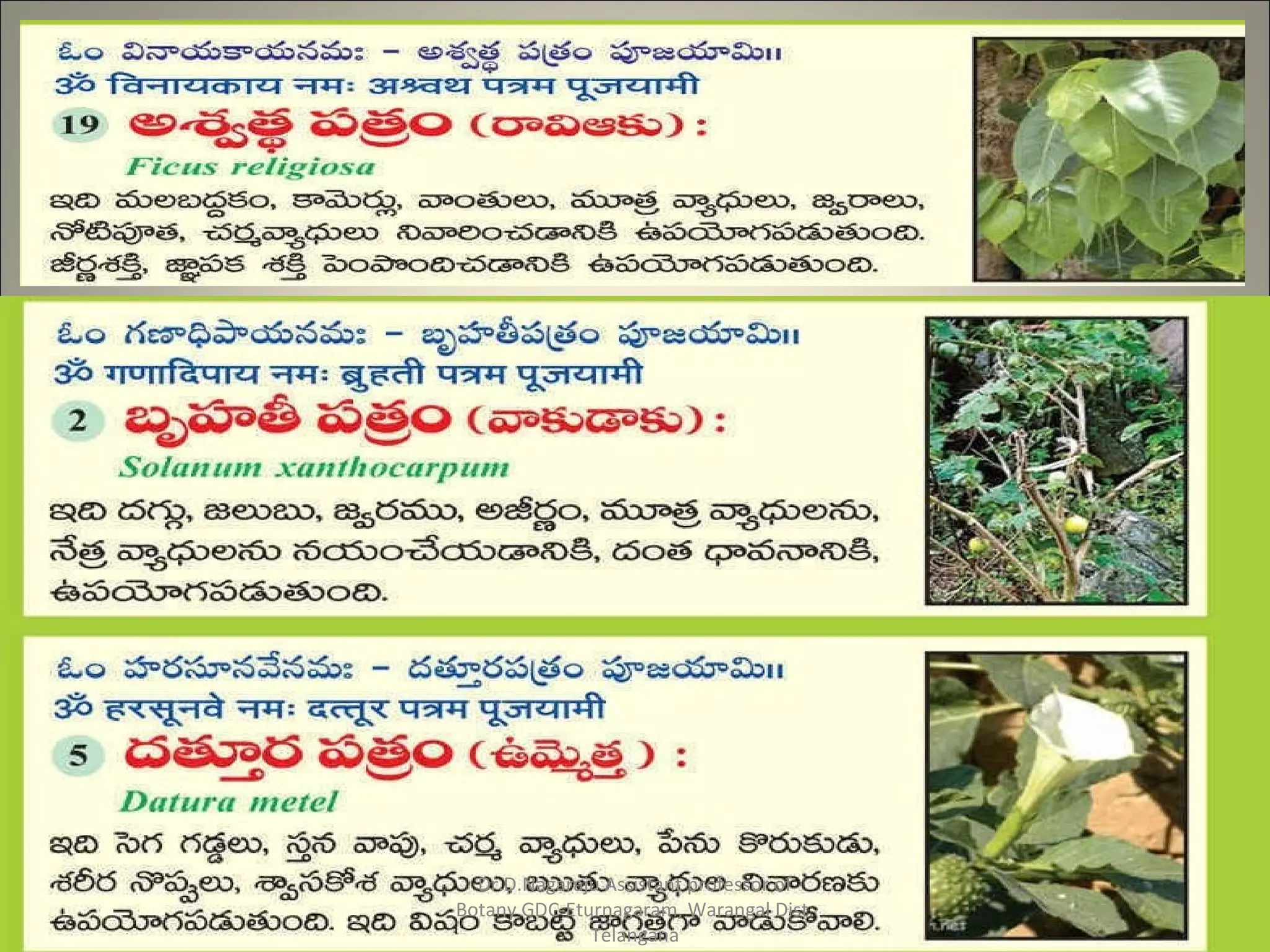 Vinayakachavithi 21 patri usages | PPT