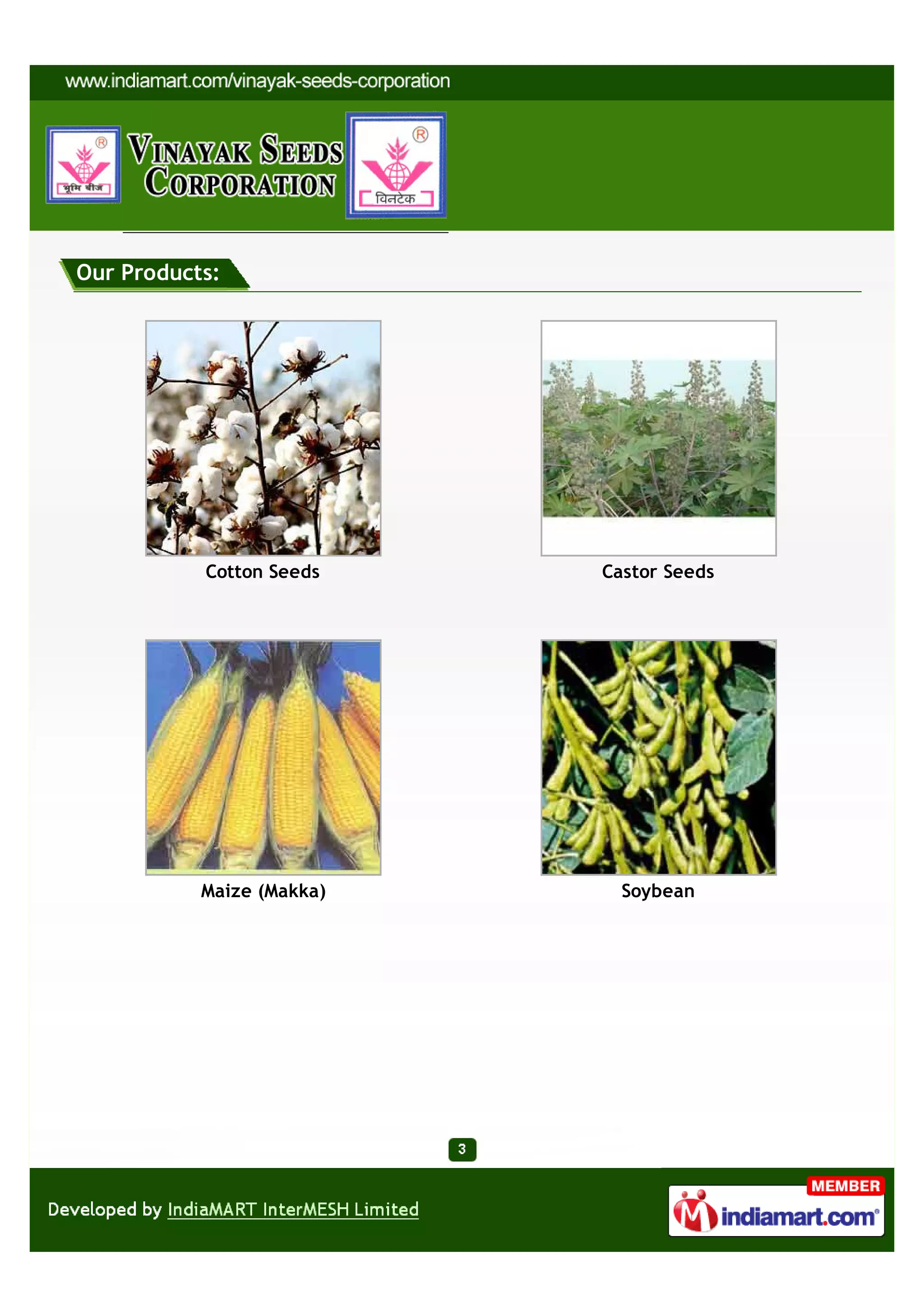 Vinayak Seeds Corporation, Ahmedabad, Castor Seeds | PDF