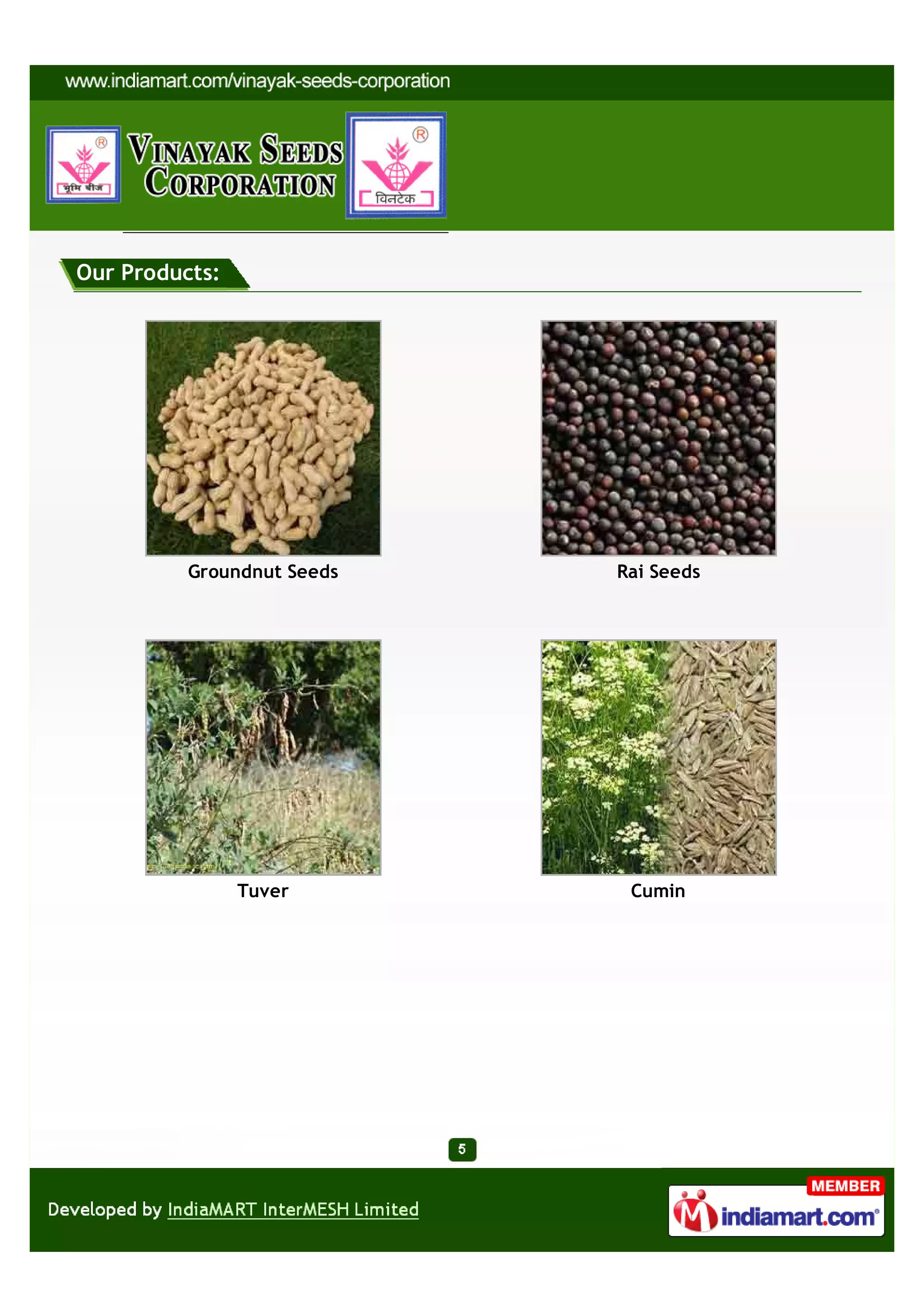 Vinayak Seeds Corporation, Ahmedabad, Castor Seeds | PDF