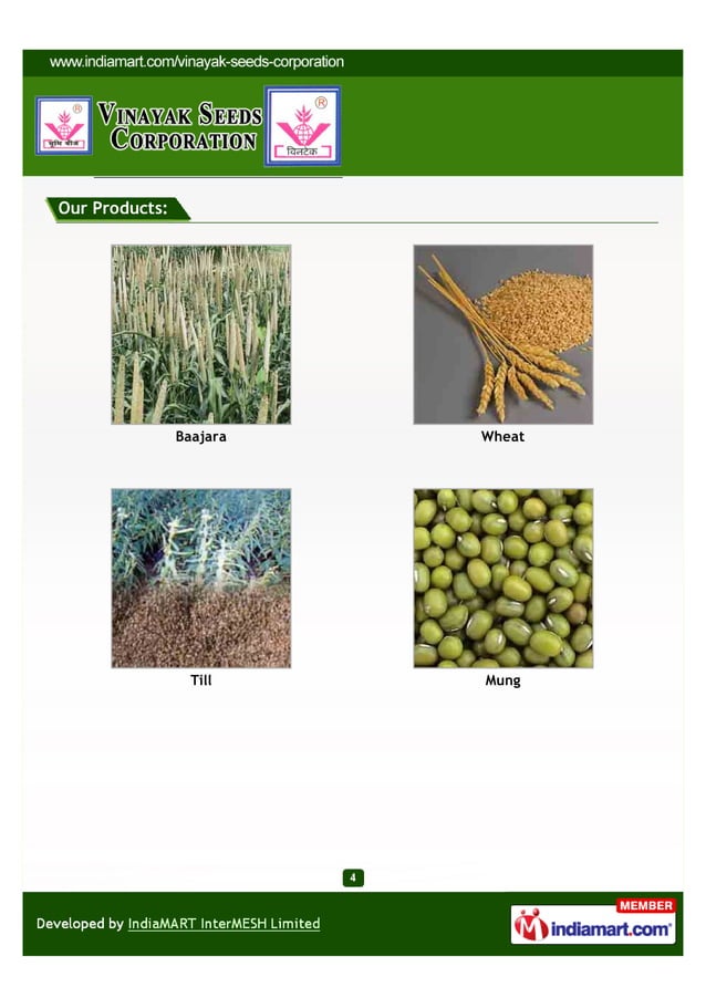 Vinayak Seeds Corporation, Ahmedabad, Castor Seeds | PDF