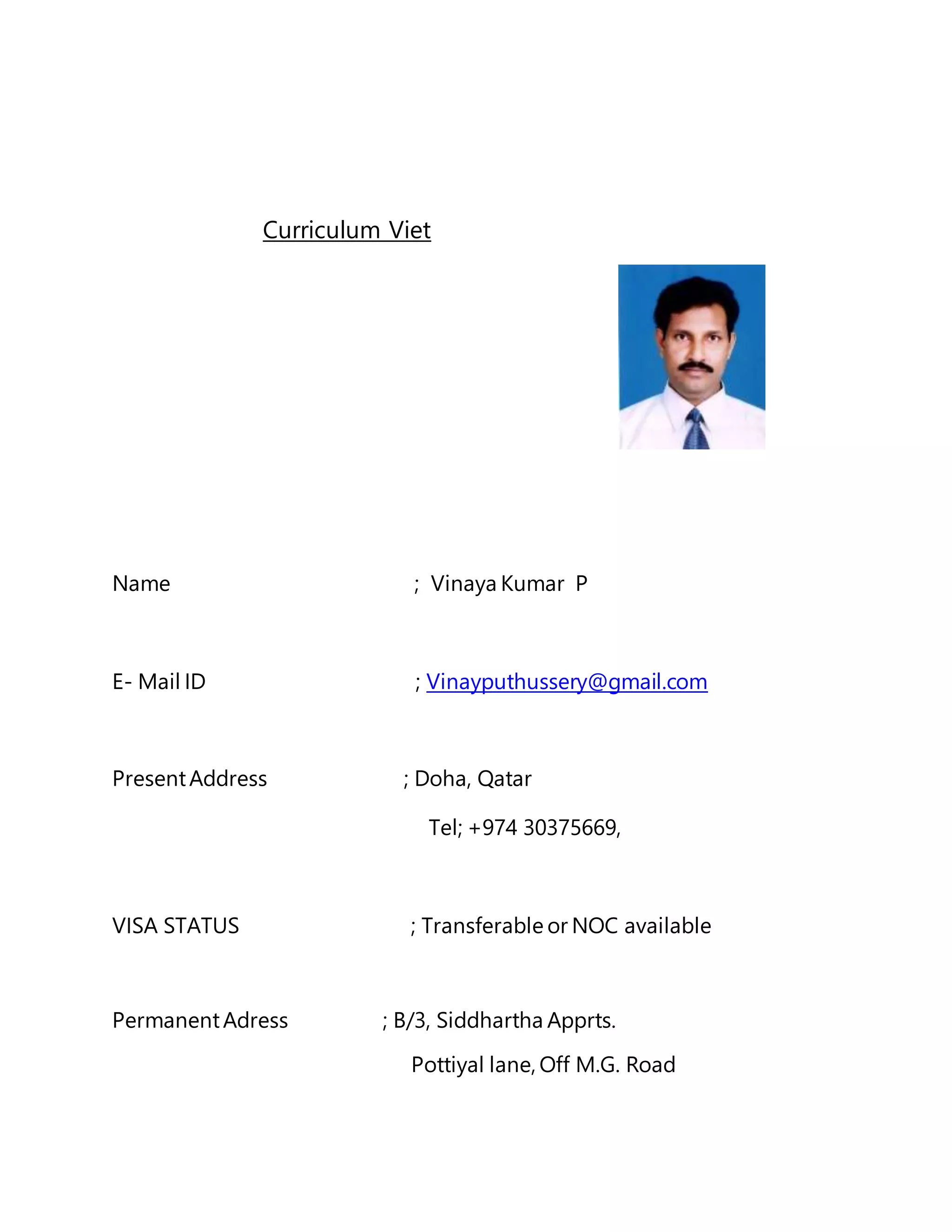 Vinay cv | DOCX | Home Appliances | Home & Garden