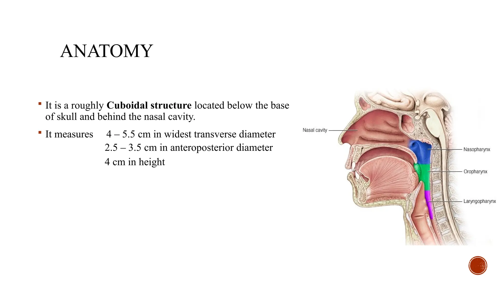 Anatomy Of Nasopharynx with diagram.pptx
