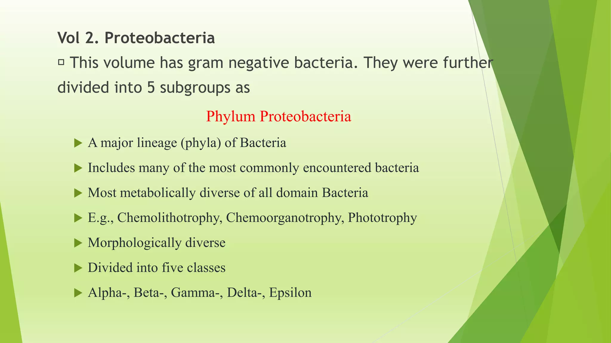 Classification of Bacteria microbiology | PPTX