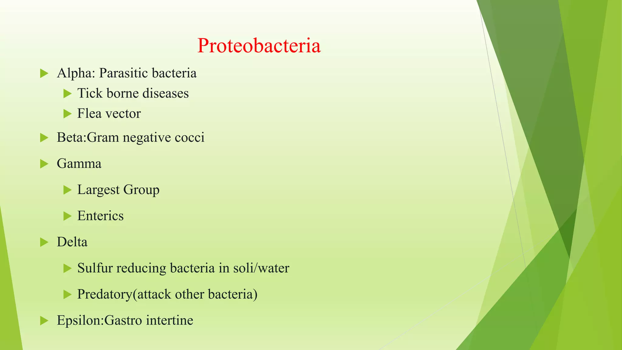 Classification of Bacteria microbiology | PPTX