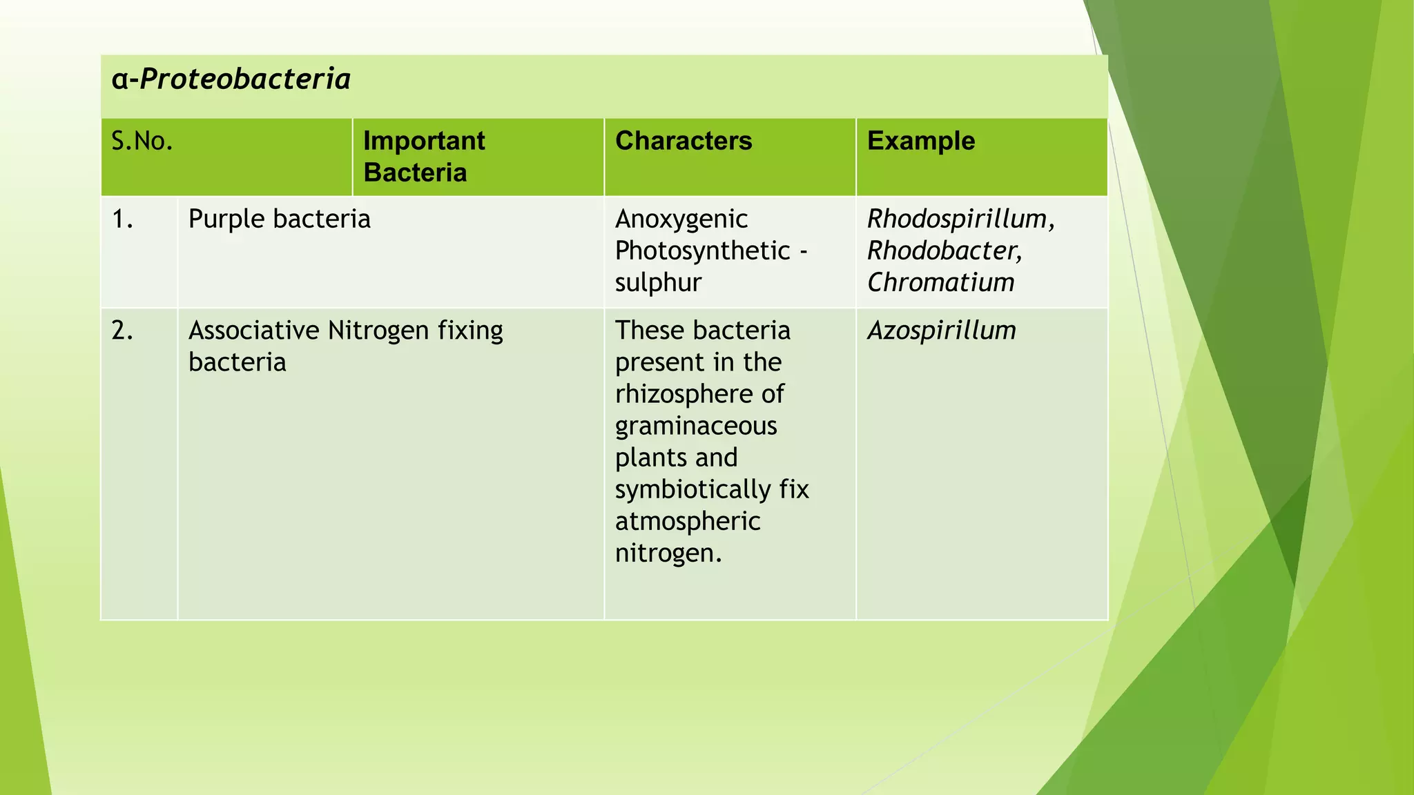 Classification of Bacteria microbiology | PPTX