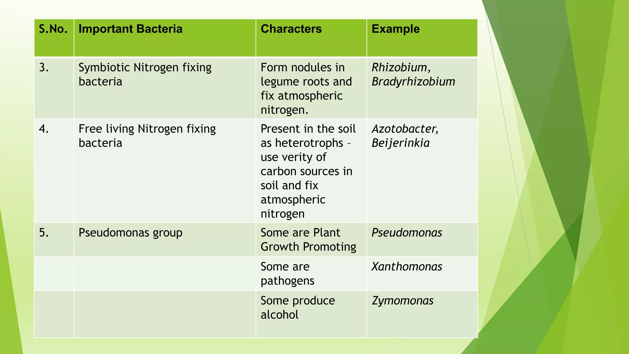 Classification of Bacteria microbiology | PPTX