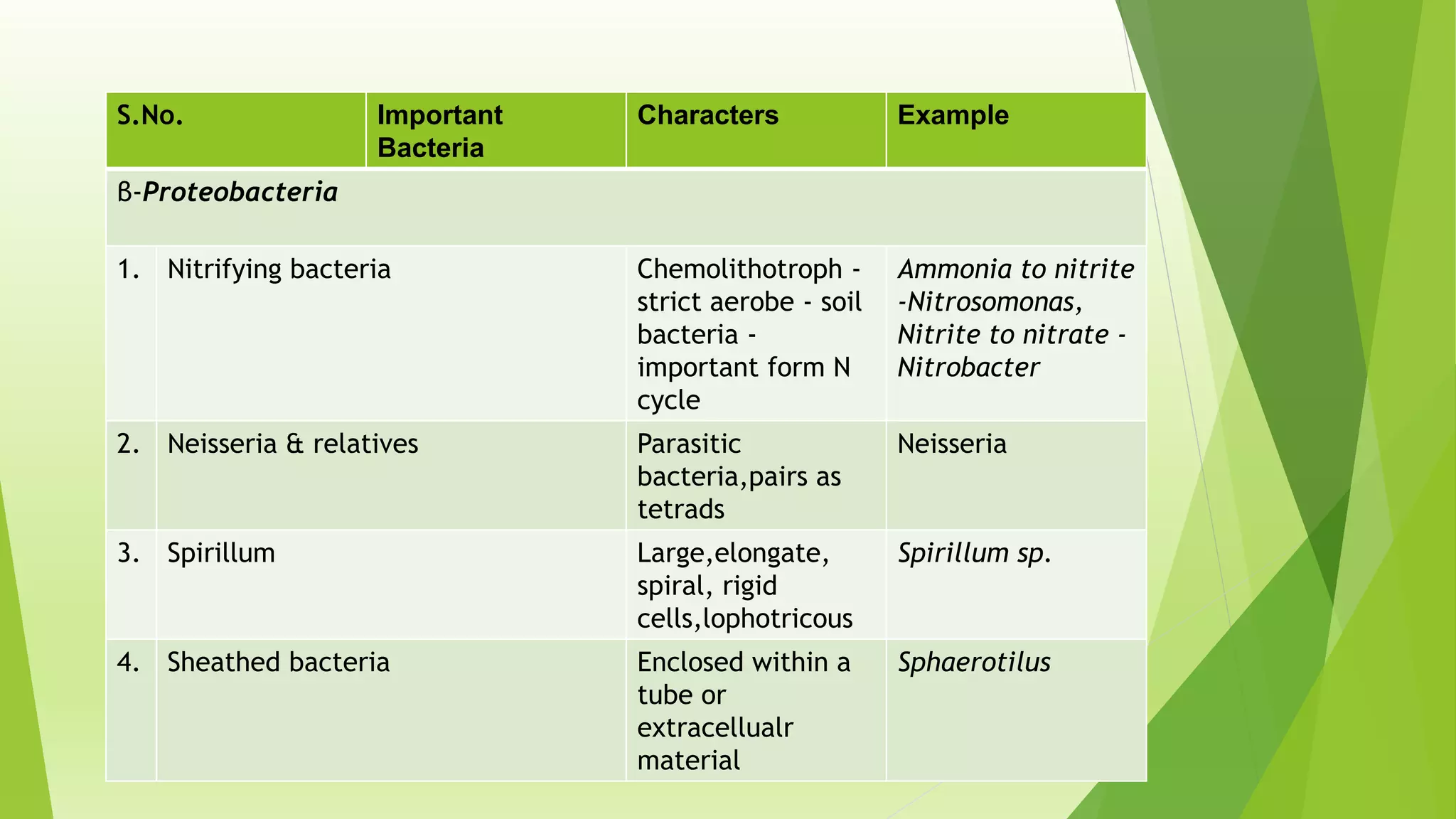 Classification of Bacteria microbiology | PPTX