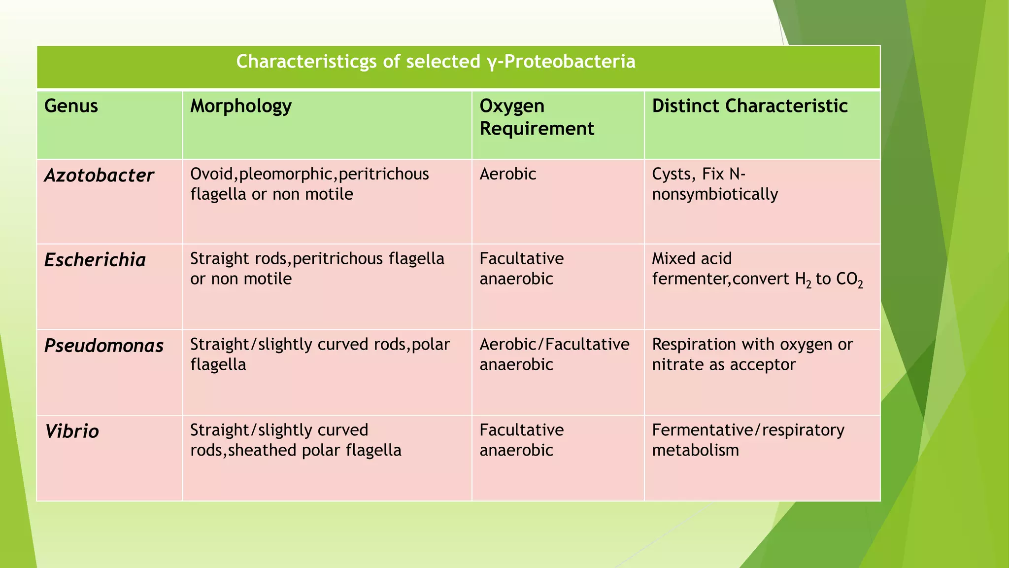 Classification of Bacteria microbiology | PPTX