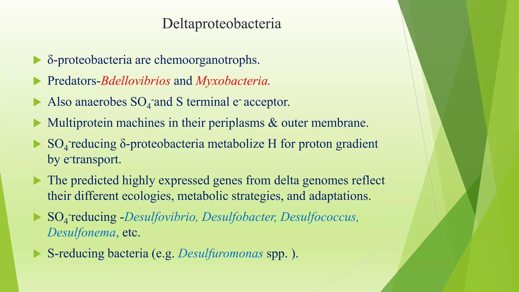 Classification of Bacteria microbiology | PPTX