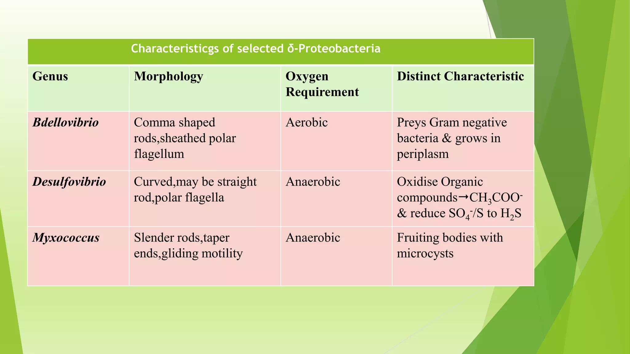 Classification of Bacteria microbiology | PPTX