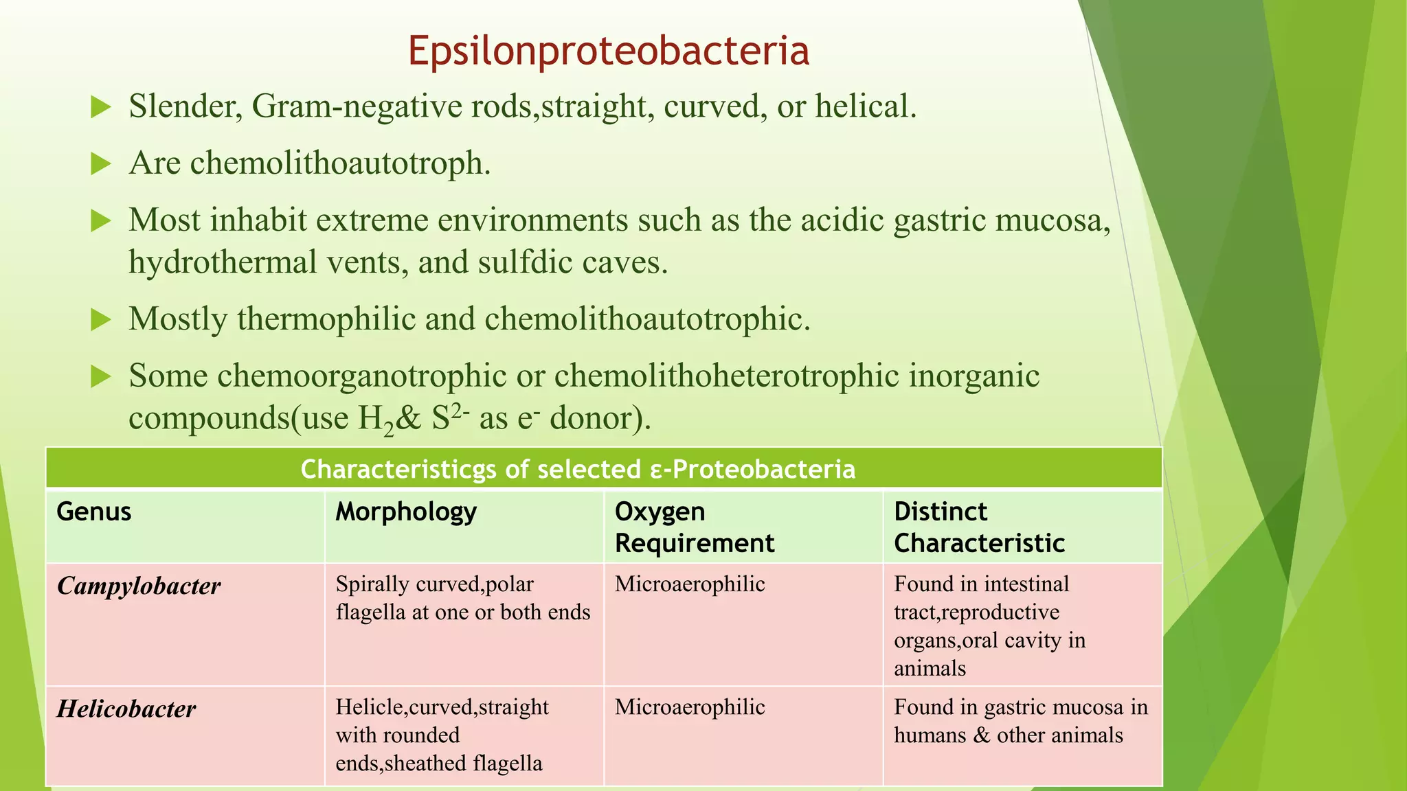 Classification of Bacteria microbiology | PPTX