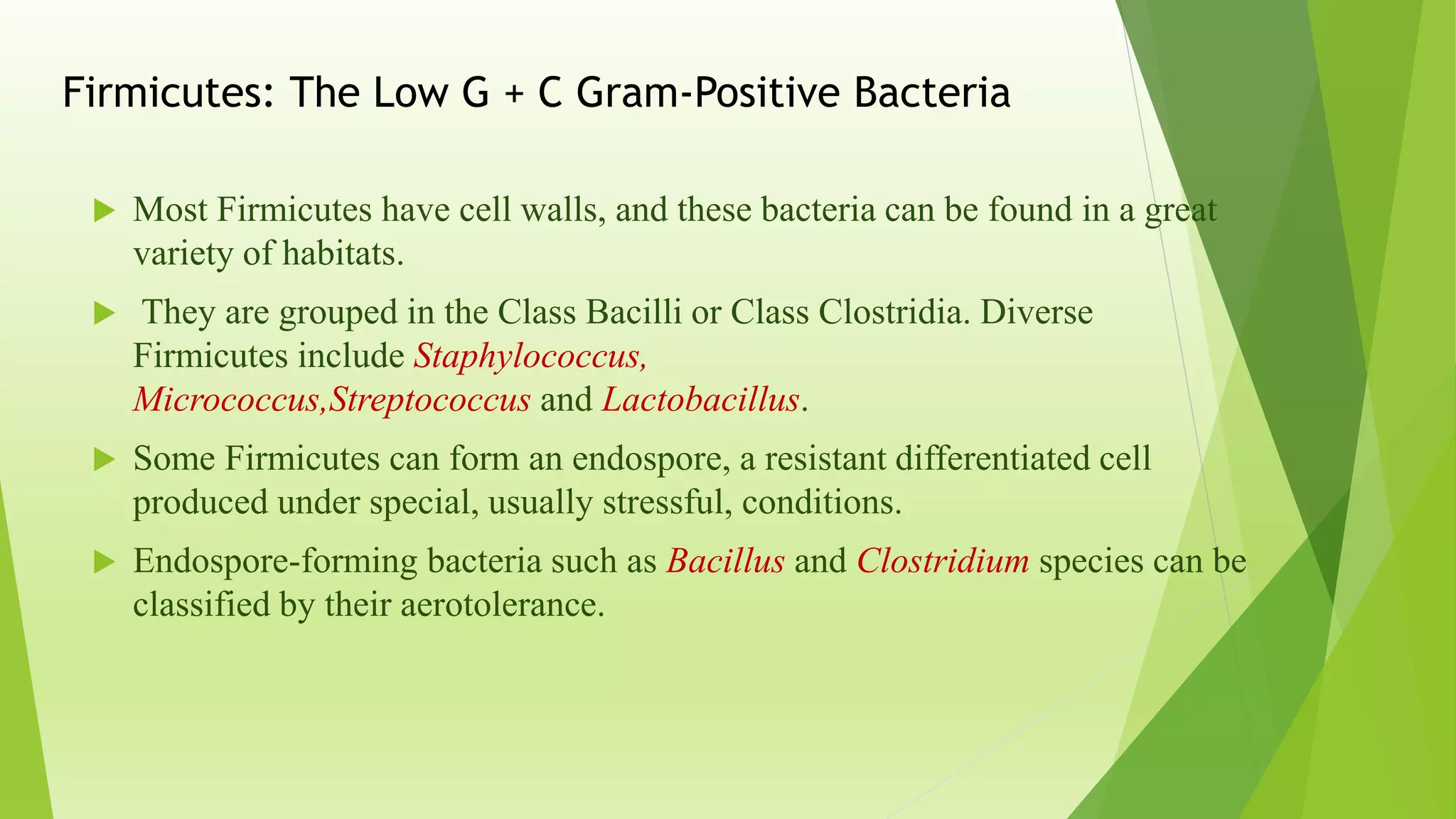 Classification of Bacteria microbiology | PPTX