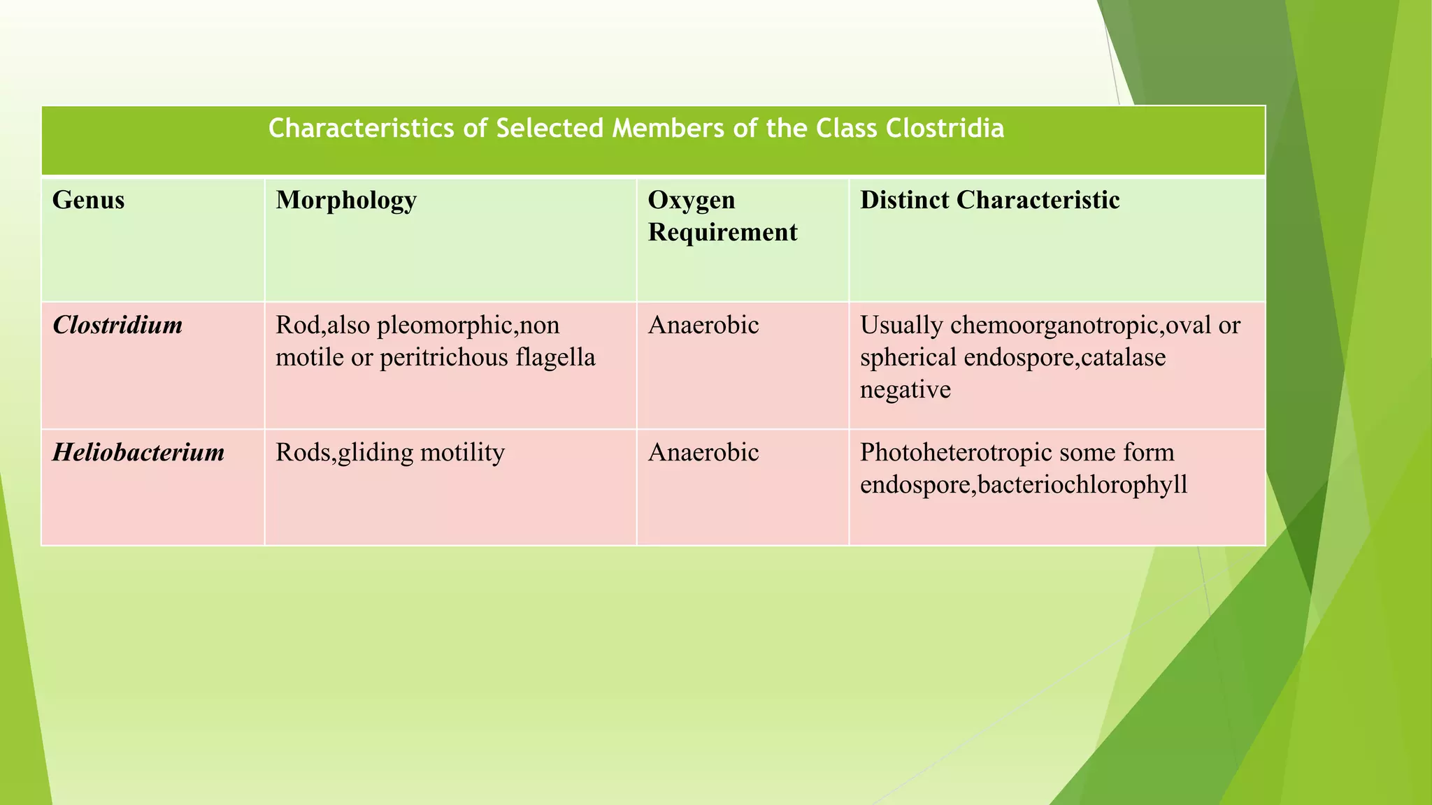 Classification of Bacteria microbiology | PPTX