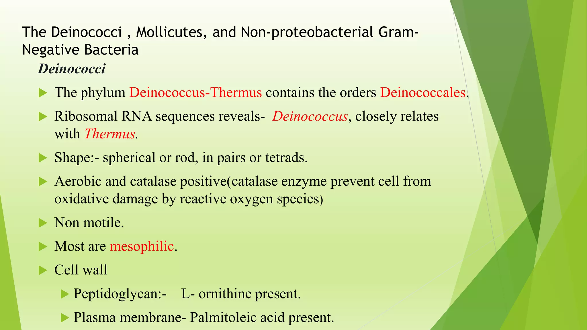 Classification of Bacteria microbiology | PPTX