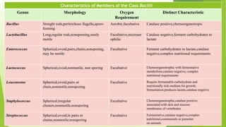 Classification of Bacteria microbiology | PPTX