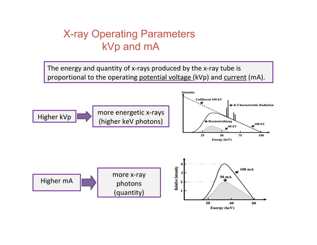 Vinay Radiation safety training for Xray Baggage Scanner XBIS | PDF ...