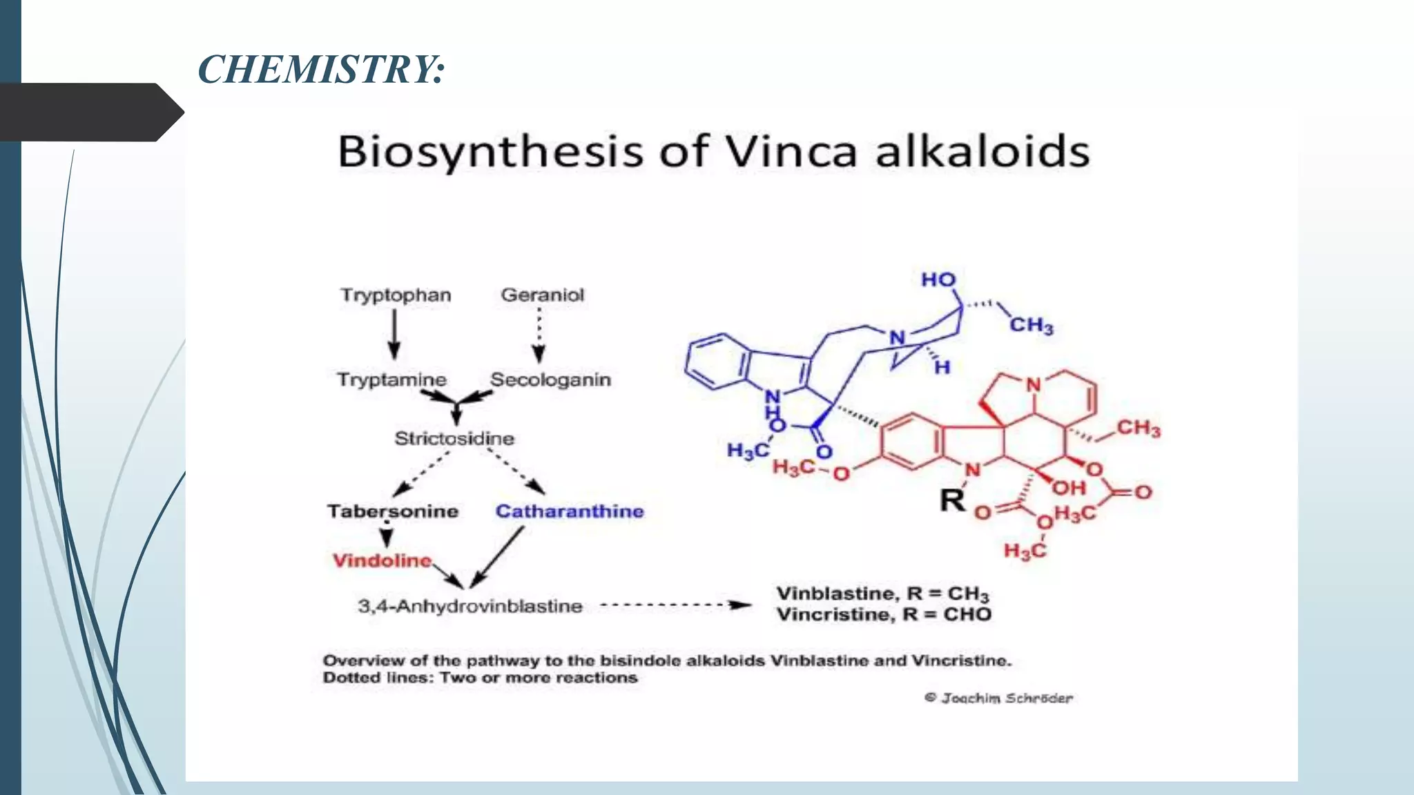 VINCA.pptx