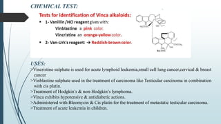 VINCA.pptx