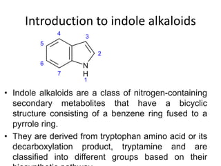 Vinca Alkaloids.pptx