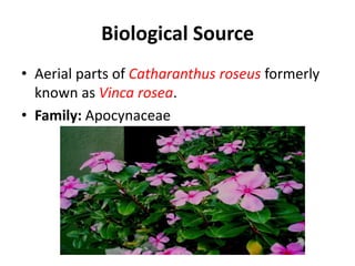 Vinca Alkaloids.pptx