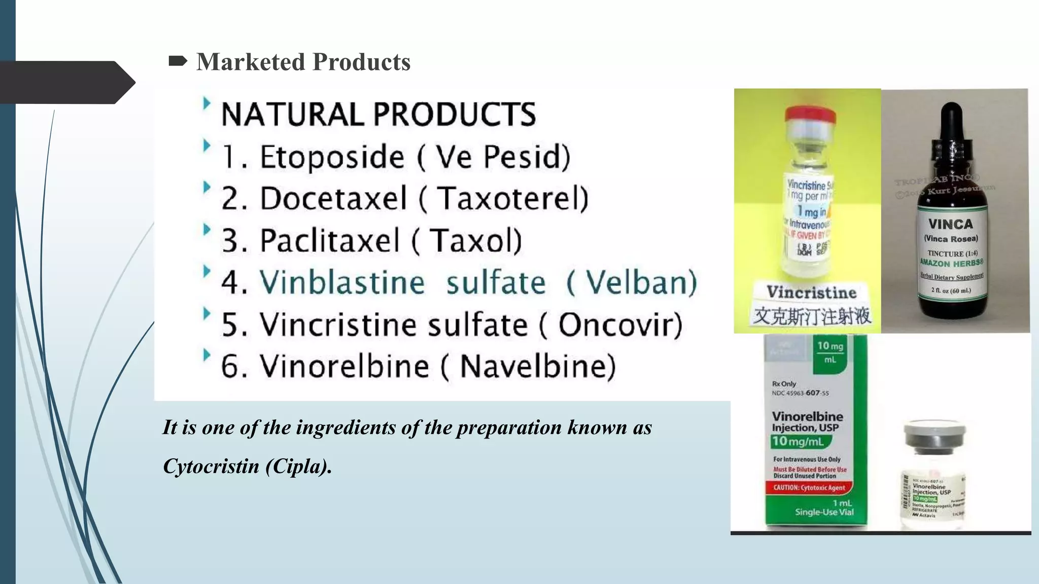Vinca : Chemical constituents, commercial products and uses | PPTX