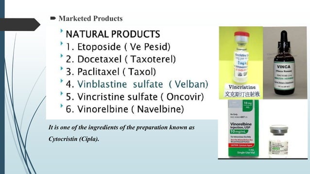 Vinca : Chemical constituents, commercial products and uses | PPTX