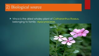 Vinca plant alkaloid type pharmacognosy -II | PPTX