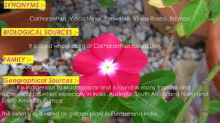 vinca ppt. by pritypriya pharmacognosy 4 | PPT