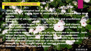 vinca ppt. by pritypriya pharmacognosy 4 | PPT