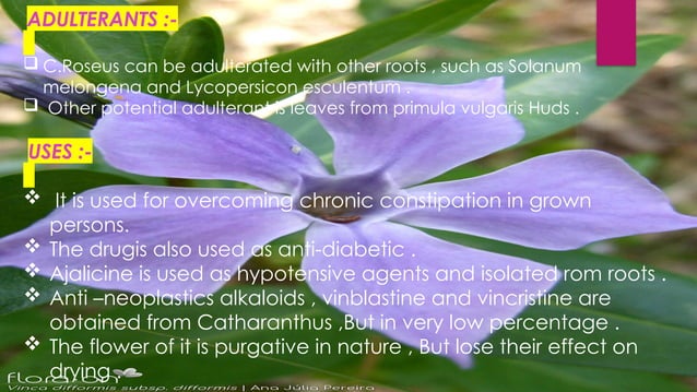 vinca ppt. by pritypriya pharmacognosy 4 | PPT