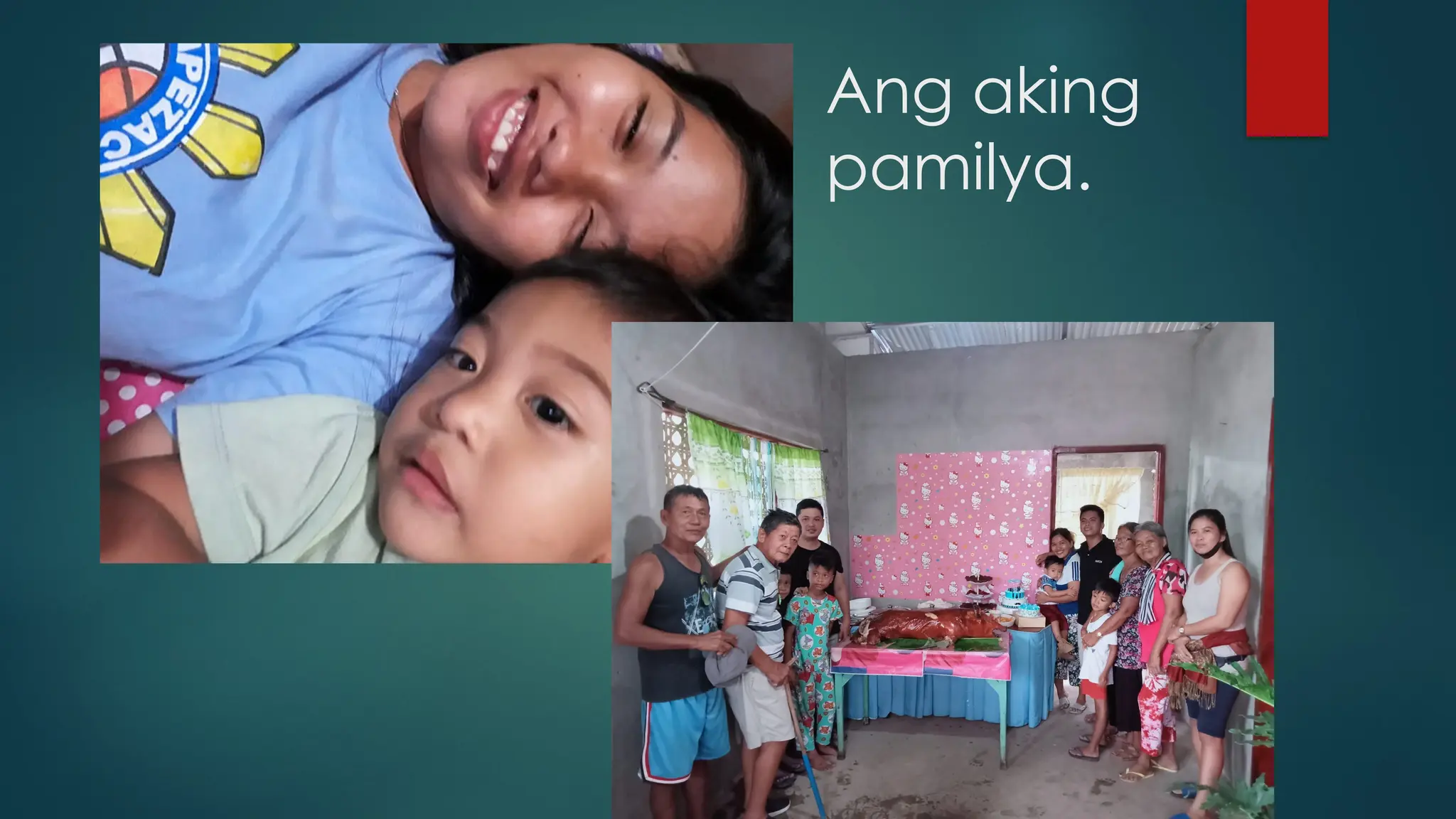 VINCE LUNET C.pptx grade 5 epp subject quarter 1 | PPTX