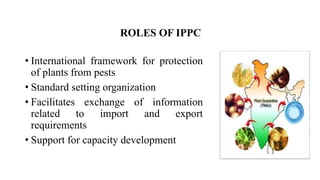 Vincent ippc presentation 2 | PPTX | Agriculture | Industries