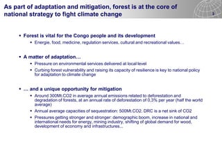 The REDD+ challenge in DRC | PDF