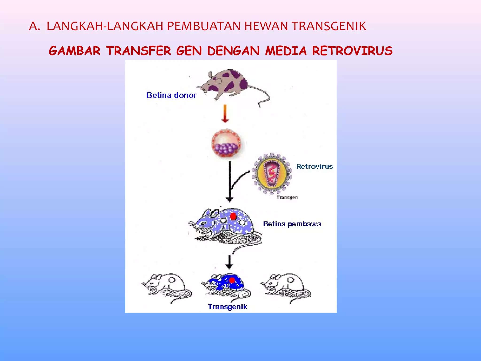 Hewan Transgenik | PPT
