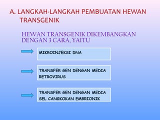 Hewan Transgenik | PPT