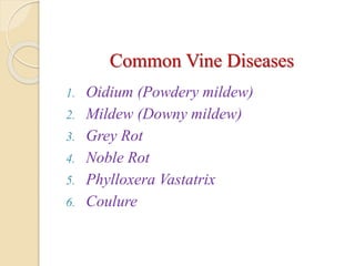 Vine diseases | PPTX | Gardening | Home & Garden