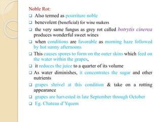 Vine diseases | PPTX | Gardening | Home & Garden