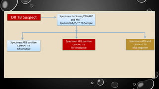 PEDIATRIC TB GUIDELINES RNTCP 2019 BY DR.VINEELA | PPTX | Infectious ...