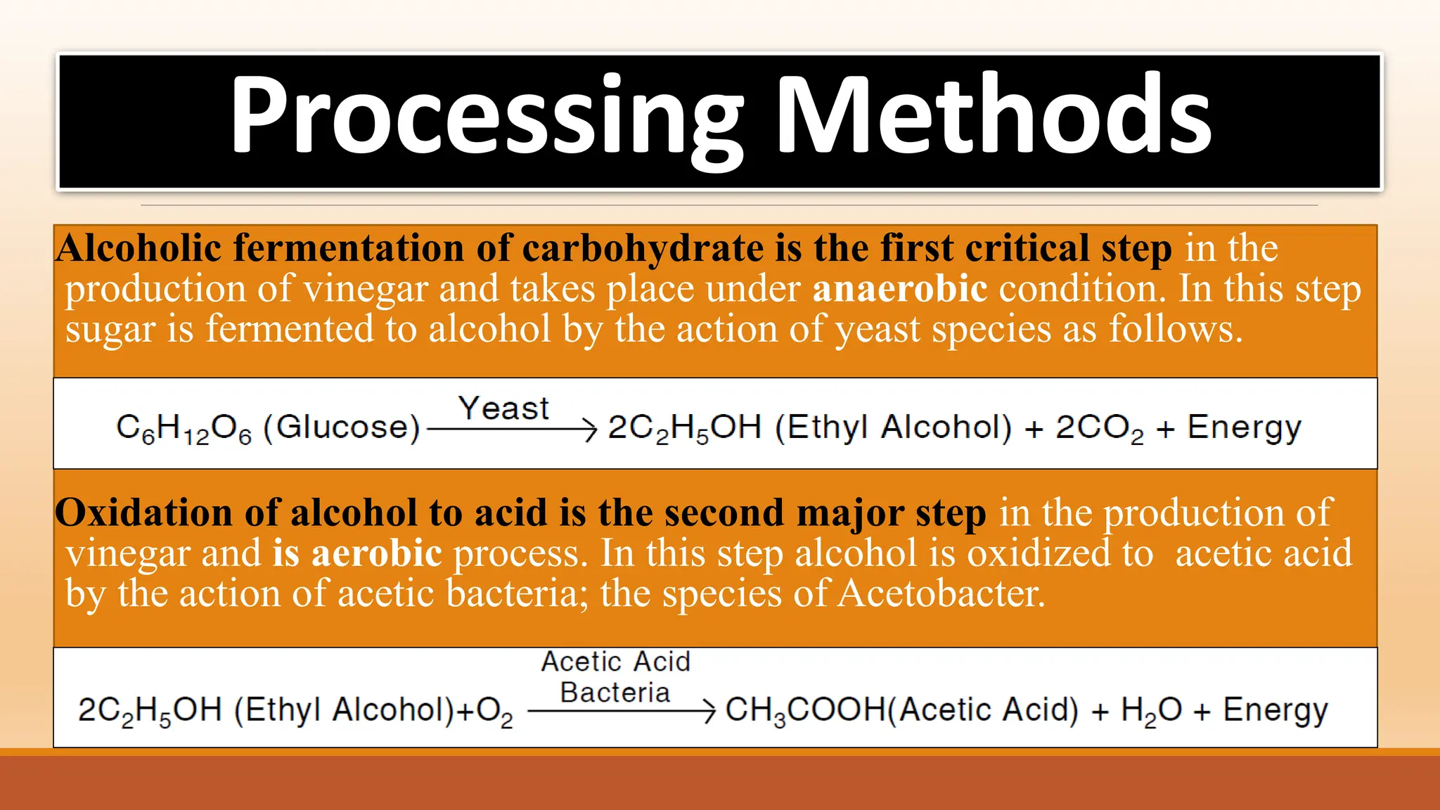 Fermentation Technology "Vinegar Production" | PDF