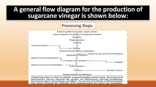 Fermentation Technology "Vinegar Production" | PDF