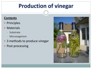 Vinegar production | PPTX
