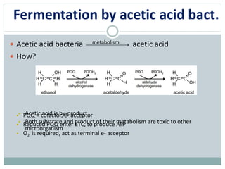 Vinegar production | PPTX
