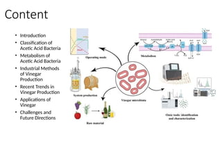 Vinegar Production :- Industrial method (Industrial Microbiology) | PPT