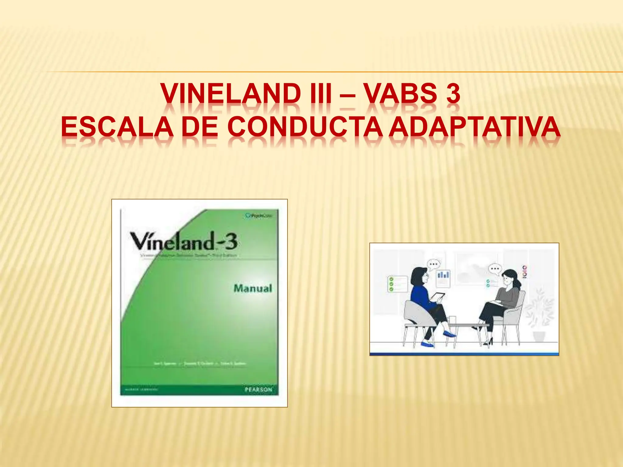 VINELAND 3- TALLER.pdf para su administracion | PDF