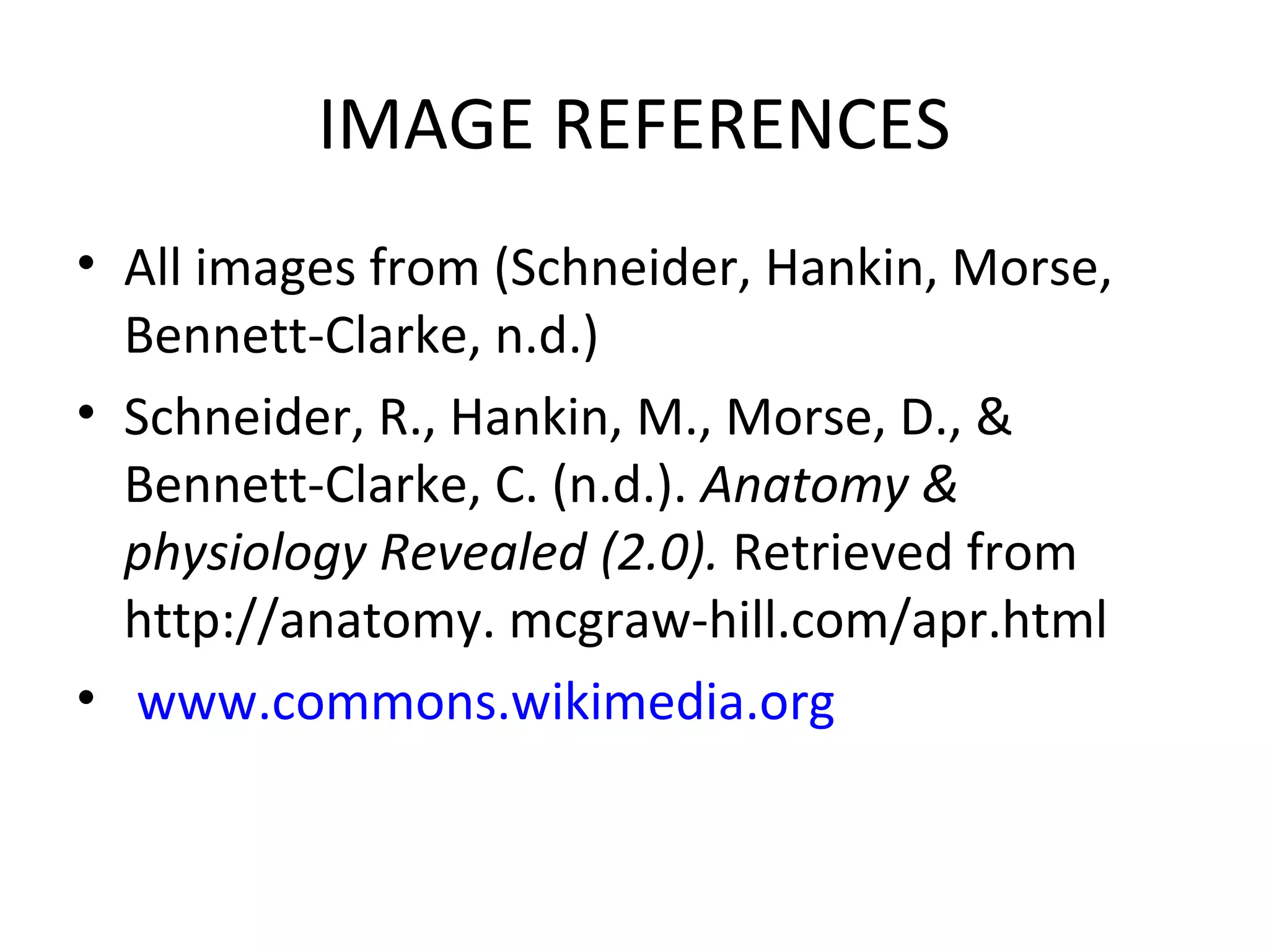 Vines idol brachial plexus ppt trans | PPT